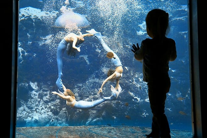 Weeki Wachee Springs State Park State Hill