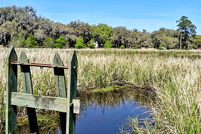 ACE Basin National Wildlife Refuge