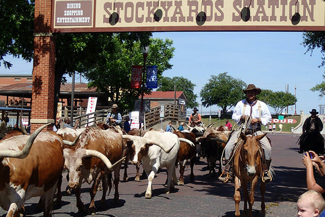 Amazing Scavenger Hunt Adventure