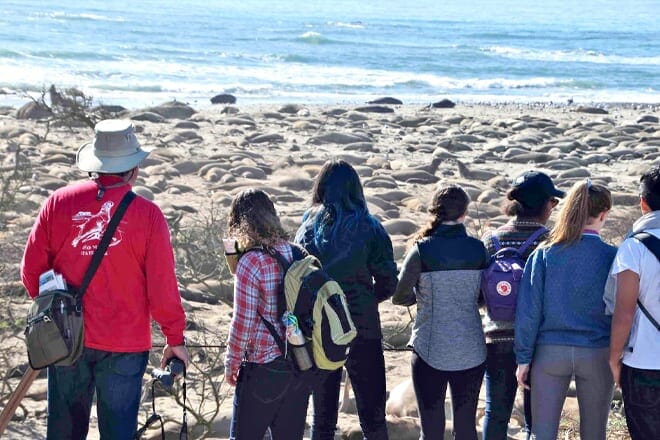 Ano Nuevo State Park