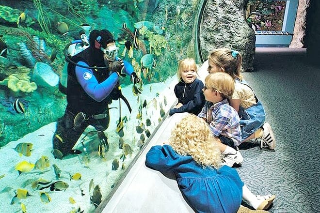 Aquarium of the Pacific