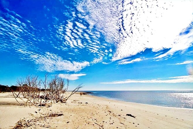 Barrier Island Beach And Wildlife Outing