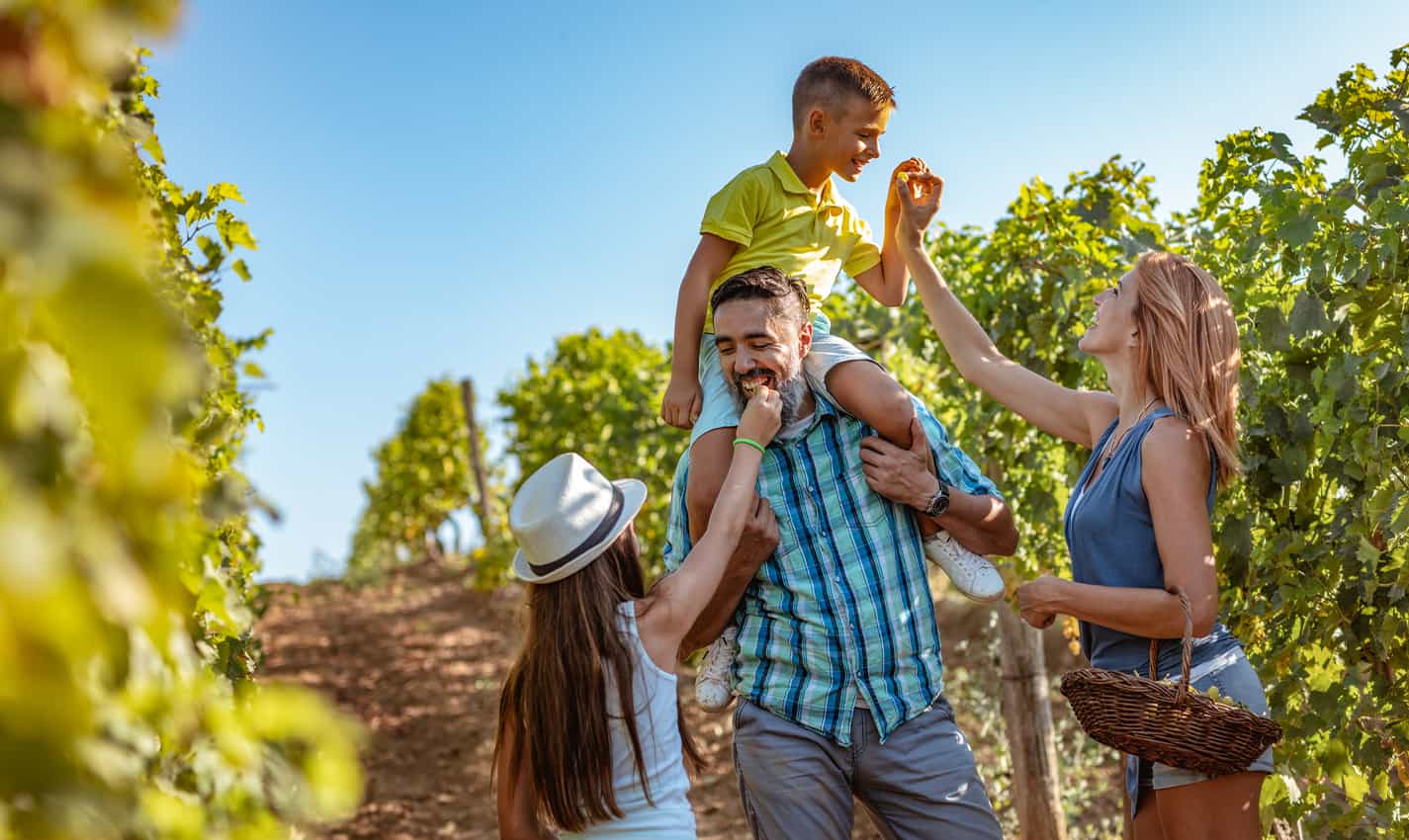 Best Things To Do Near Austin TX