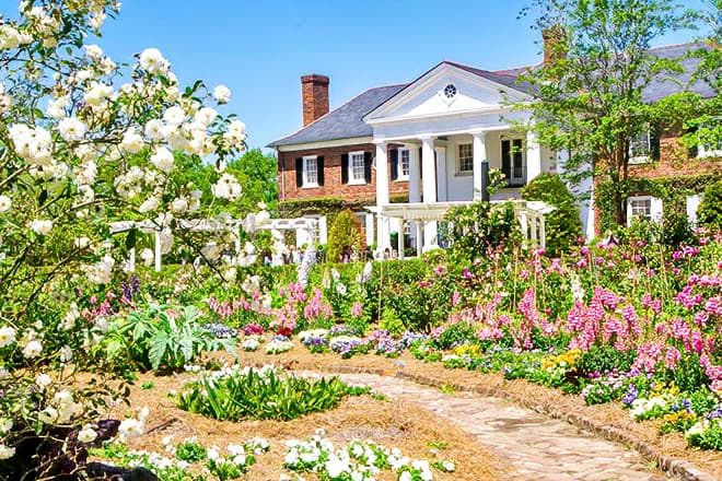 Boone Hall Plantation And Gardens