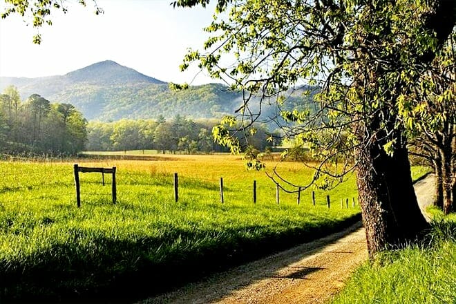 Cades Cove Sightseeing Bus Tour