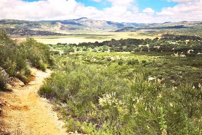 Cleveland National Forest