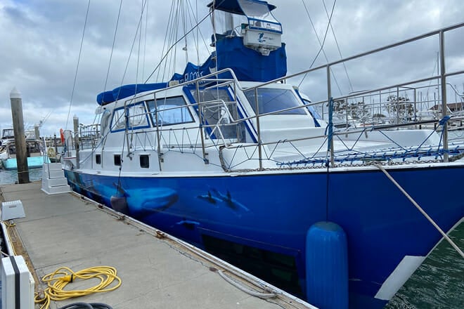 dana point whale watching