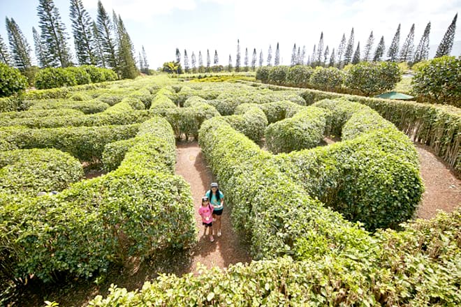 Dole Pineapple Plantation