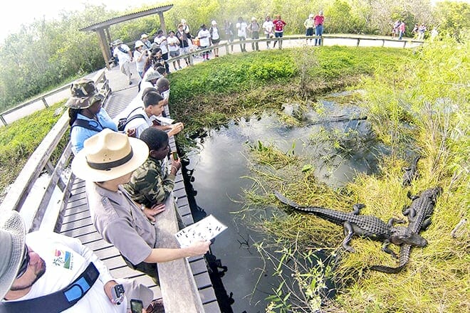 Everglades National Park