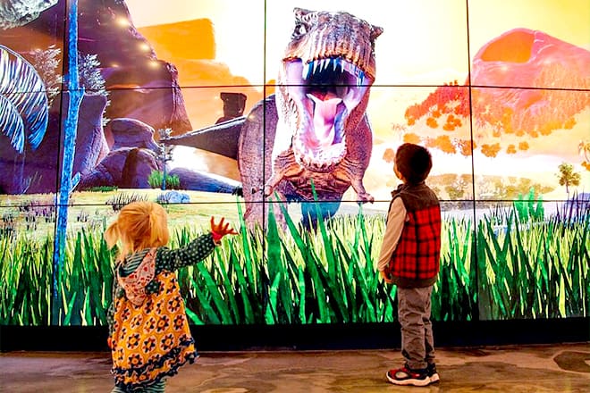 Fort Worth Museum Of Science And History