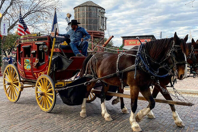 Fort Worth Sightseeing Tour