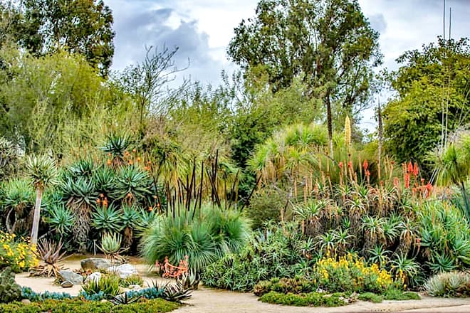 Fullerton Arboretum