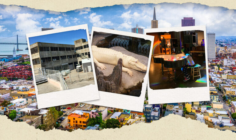 25 Fun Things to Do with Kids in The Bay Area (for 2026)