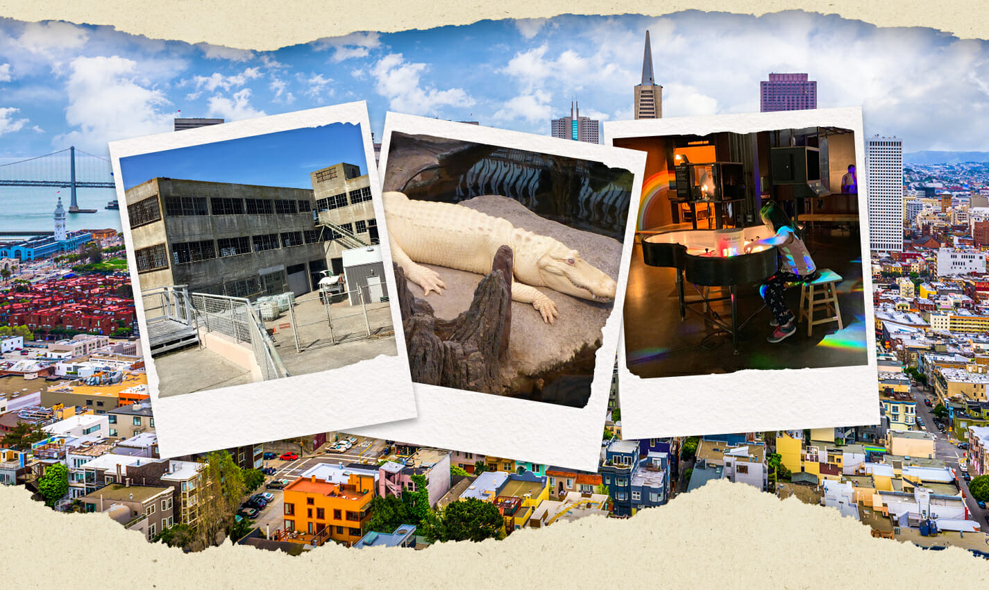 fun things to do with kids in the bay area travel photo