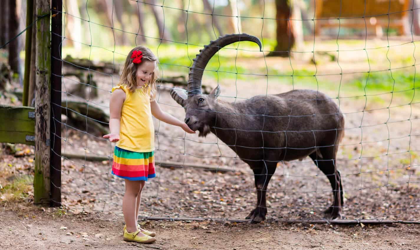 Fun Things To Do In Phoenix With Kids