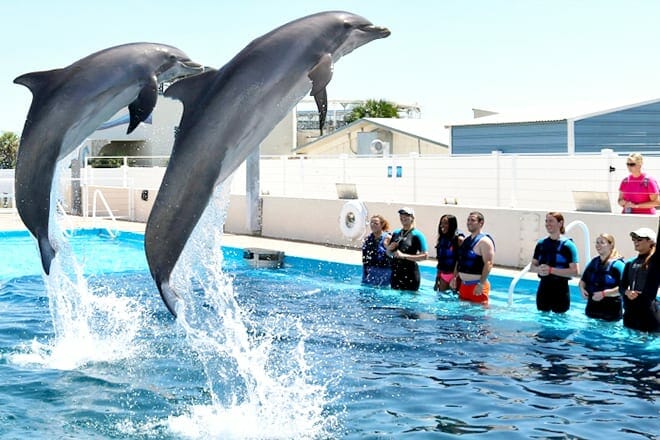 Gulfarium Marine Adventure Park