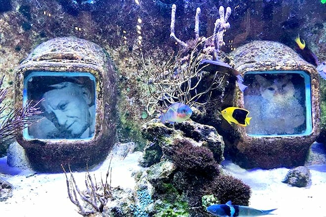 History Of Diving Museum