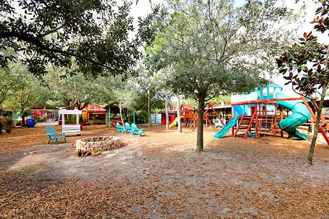 Horse Power For Kids And Animal Sanctuary