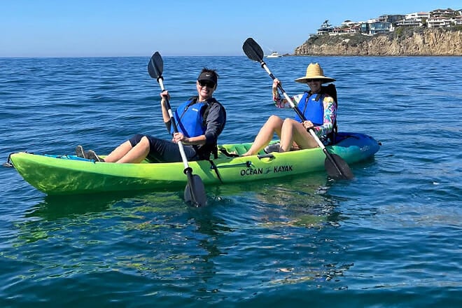 laguna beach kayaking tour with sea lion sightings
