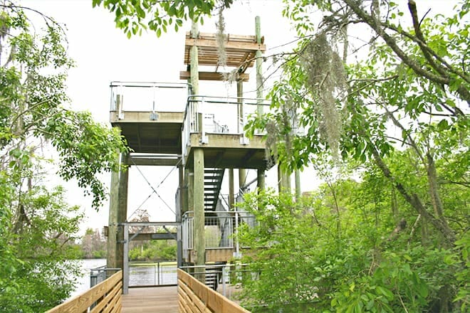 Lettuce Lake Regional Park