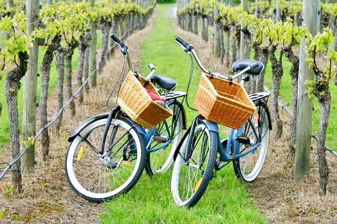 Mattituck Countryside Bike Tour