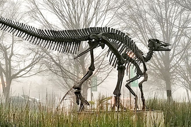 McClung Museum of Natural History & Culture