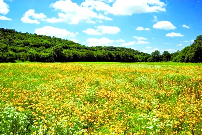 Miami Whitewater Forest