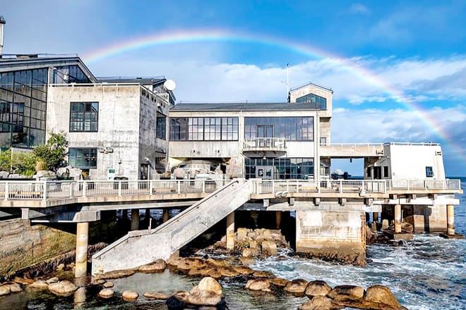 Monterey Bay Aquarium, Monterey