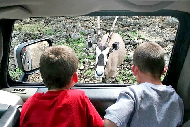 Natural Bridge Wildlife Ranch