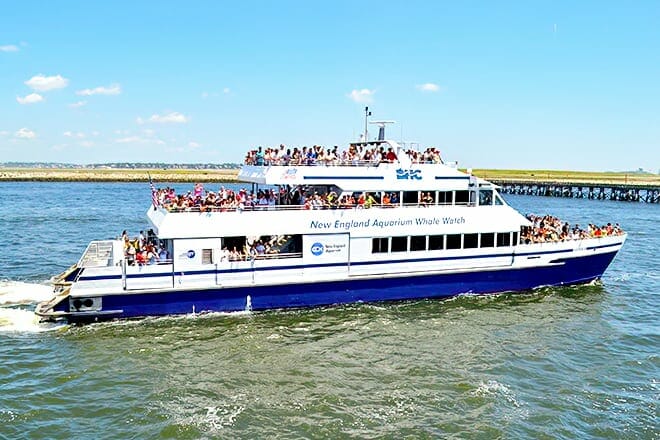 New England Aquarium Whale Watching