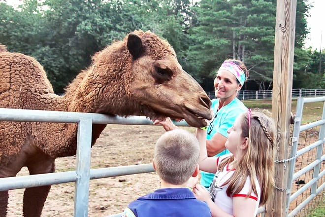 North Georgia Wildlife Park & Zoo