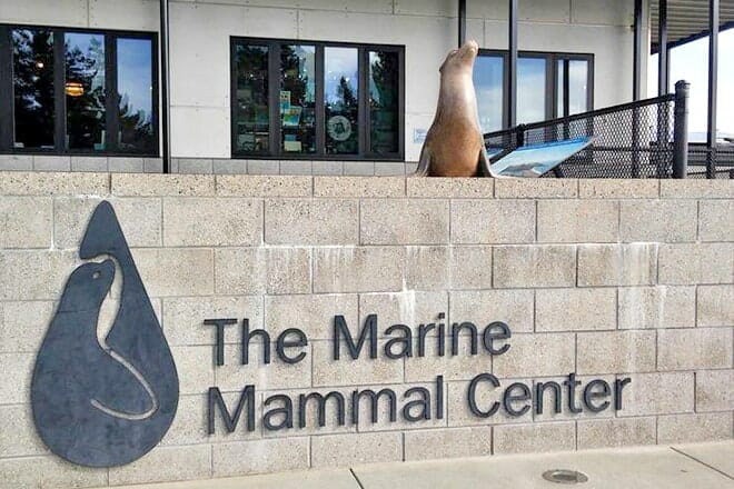 Pacific Marine Mammal Center