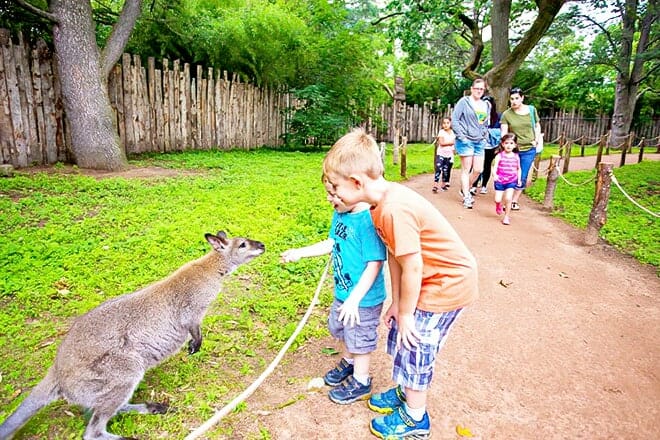 Roger Williams Park Zoo & Carousel Village