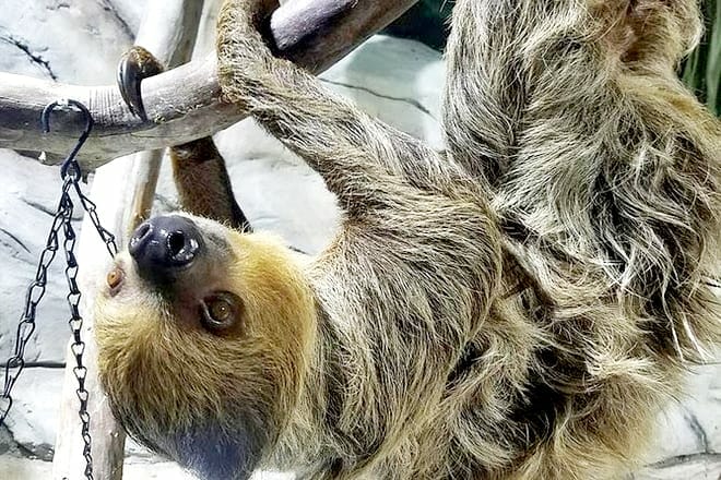 San Antonio Aquarium