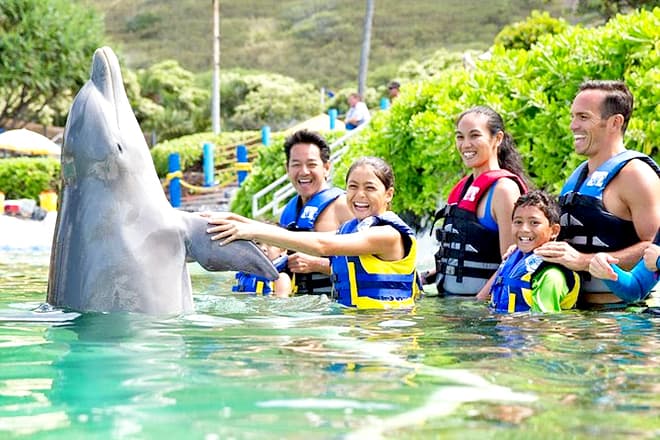 Sea Life Park Hawaii