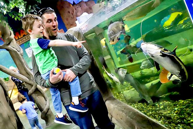 Seaquest Interactive Aquarium