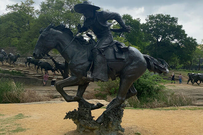 sightseeing bus tour