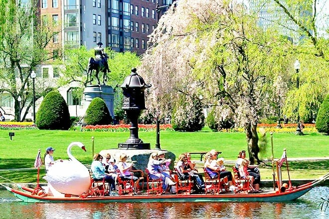 Swan Boat Ride In The Public Garden