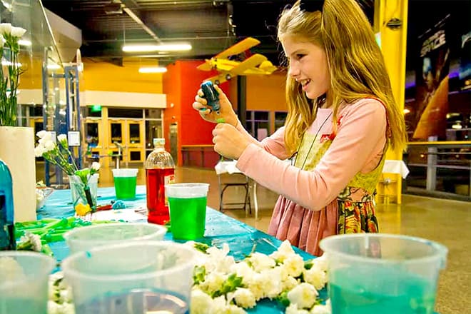 The Michigan Science Museum