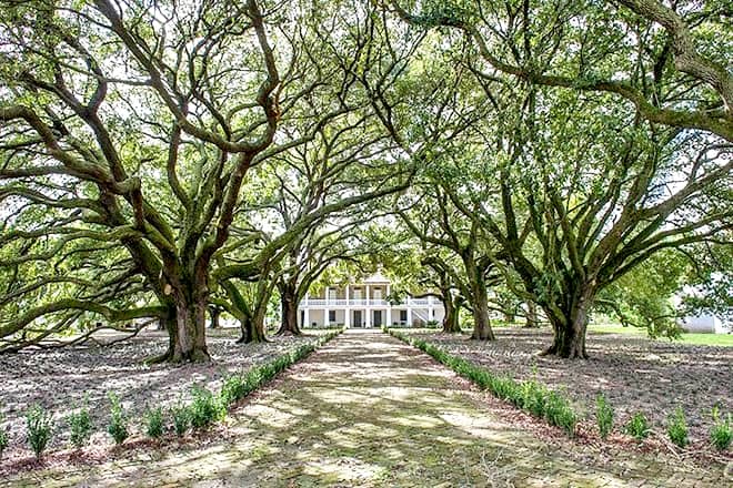 Whitney Plantation