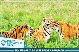 Fun Things To Do Near Denver, Colorado