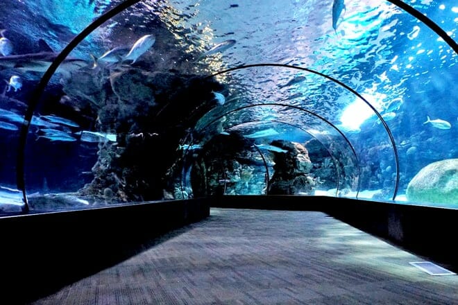 Adventure Aquarium