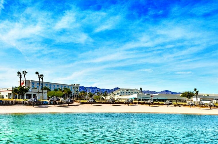 Avi Resort And Casino