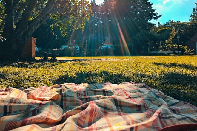 Garfield Park Reservation