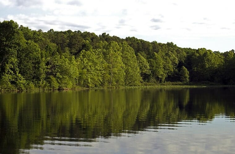 Hoosier National Forest