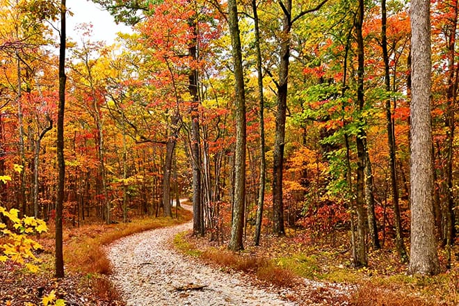 Kanawha State Forest