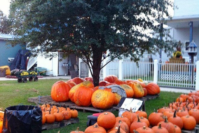 Kenova's Pumpkin House