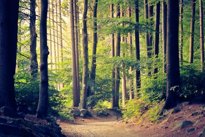 Kettle Moraine State Forest