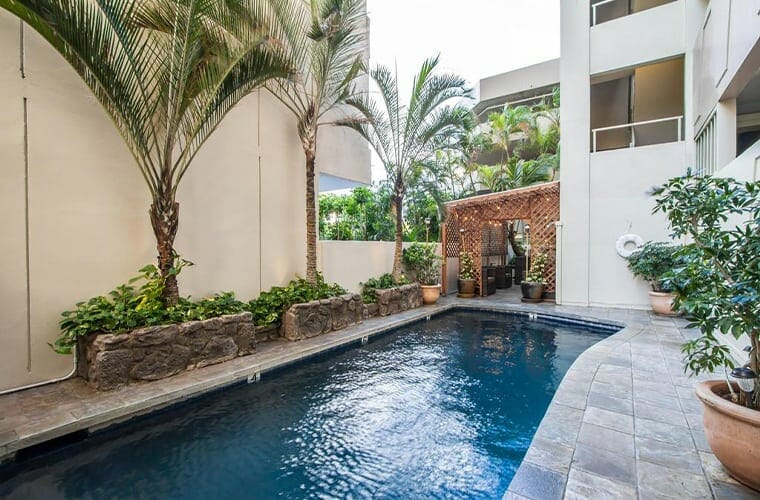 Paniolo At The Equus