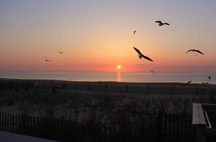 Rehoboth Beach